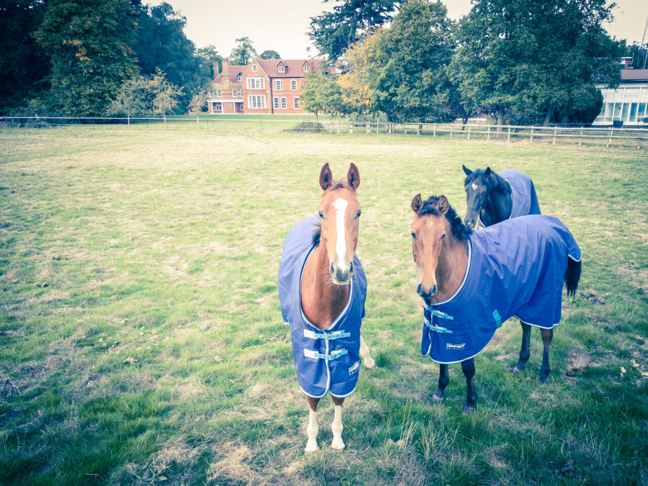 October UPDATE - NEW HOMES AT MILLFIELD PARK ESSEX